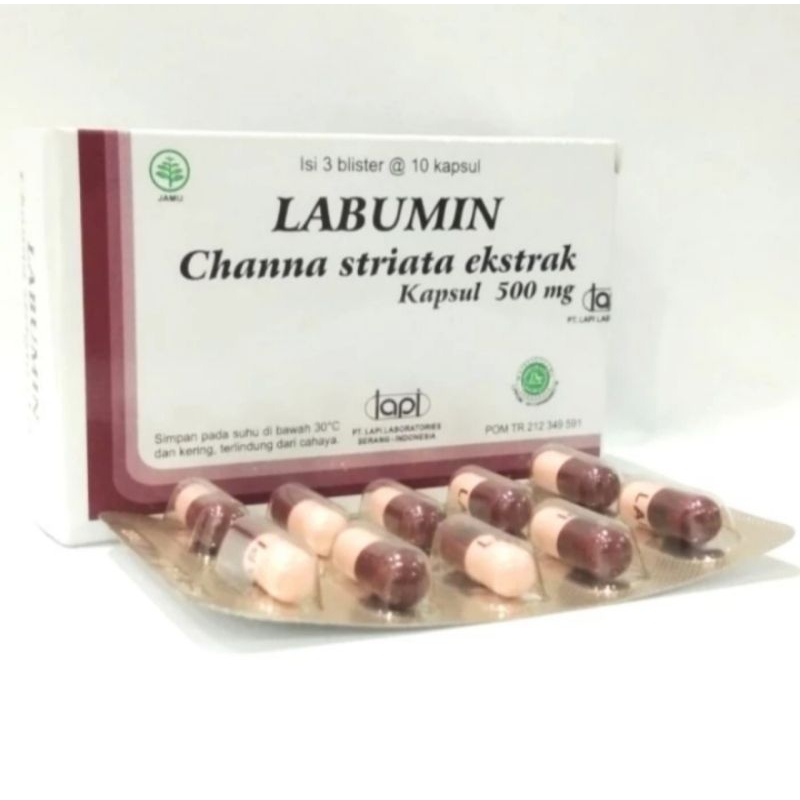 Jual Labumin box 30 kapsul | Shopee Indonesia