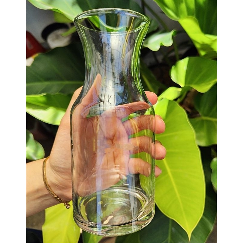 Jual Vas Bunga Kaca Bening Aesthetic Belarius / Pot Tanaman Air ...