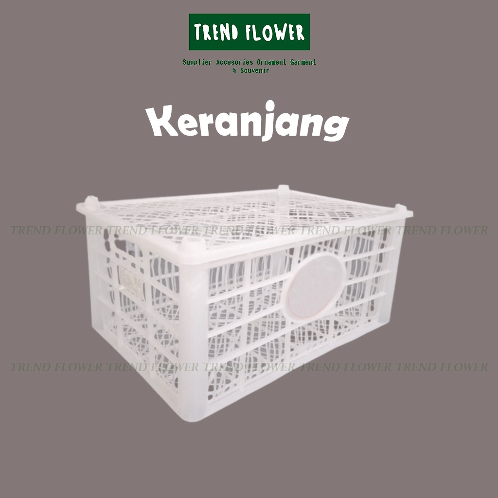Jual Keranjang Buah Bekas Putih Tutup Plastik - Wadah Penyimpanan ...