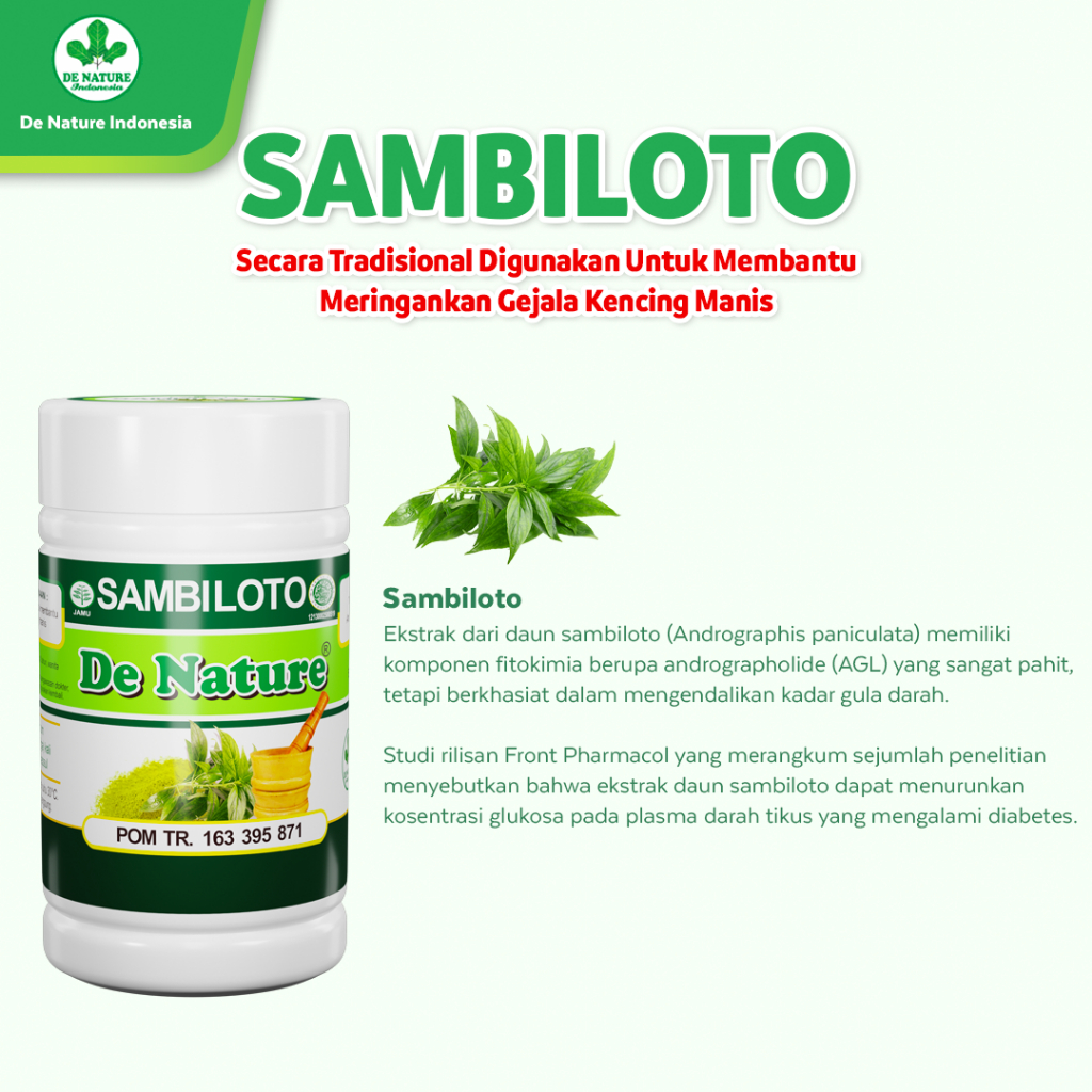 Jual Obat Sambiloto Kapsul Ekstrak Daun Sambiloto Obat Kencing Manis ...