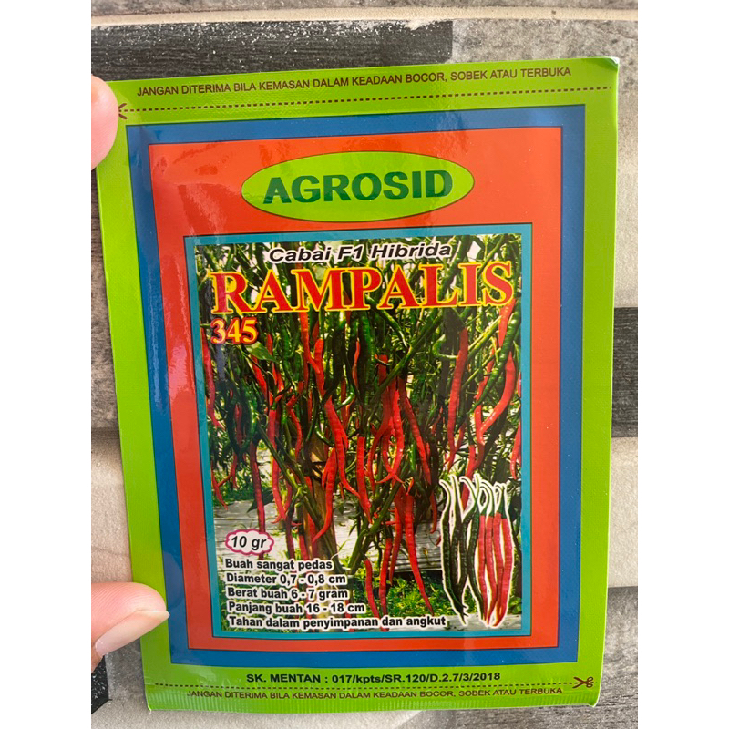 Jual Benih Cabe Rampalis - Cabe merah keriting - Bibit cabe Rampalis F1 ...