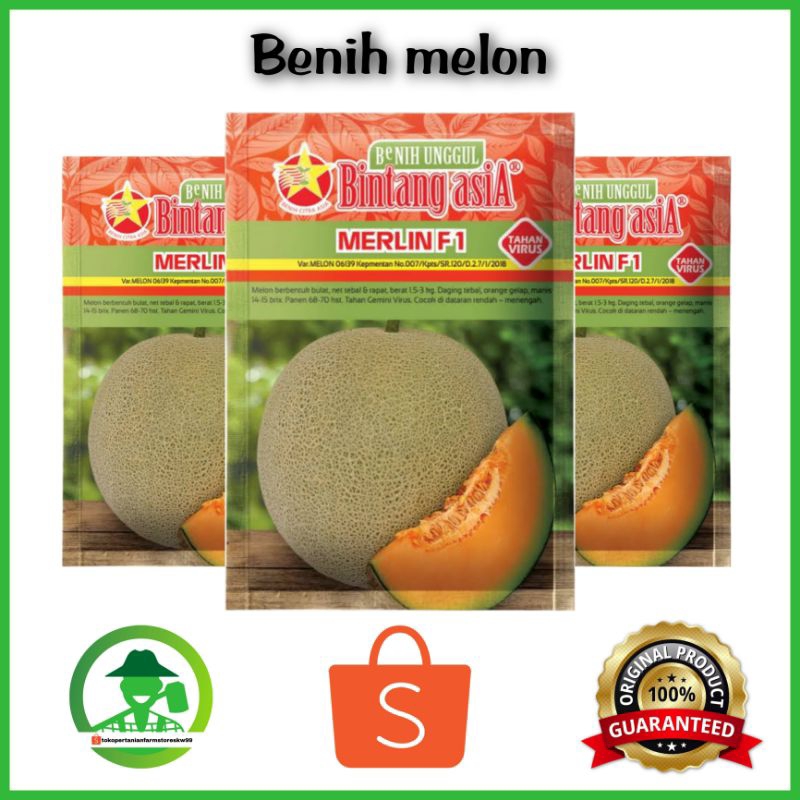 Jual Melon merlin 20gram bintang asia | Shopee Indonesia