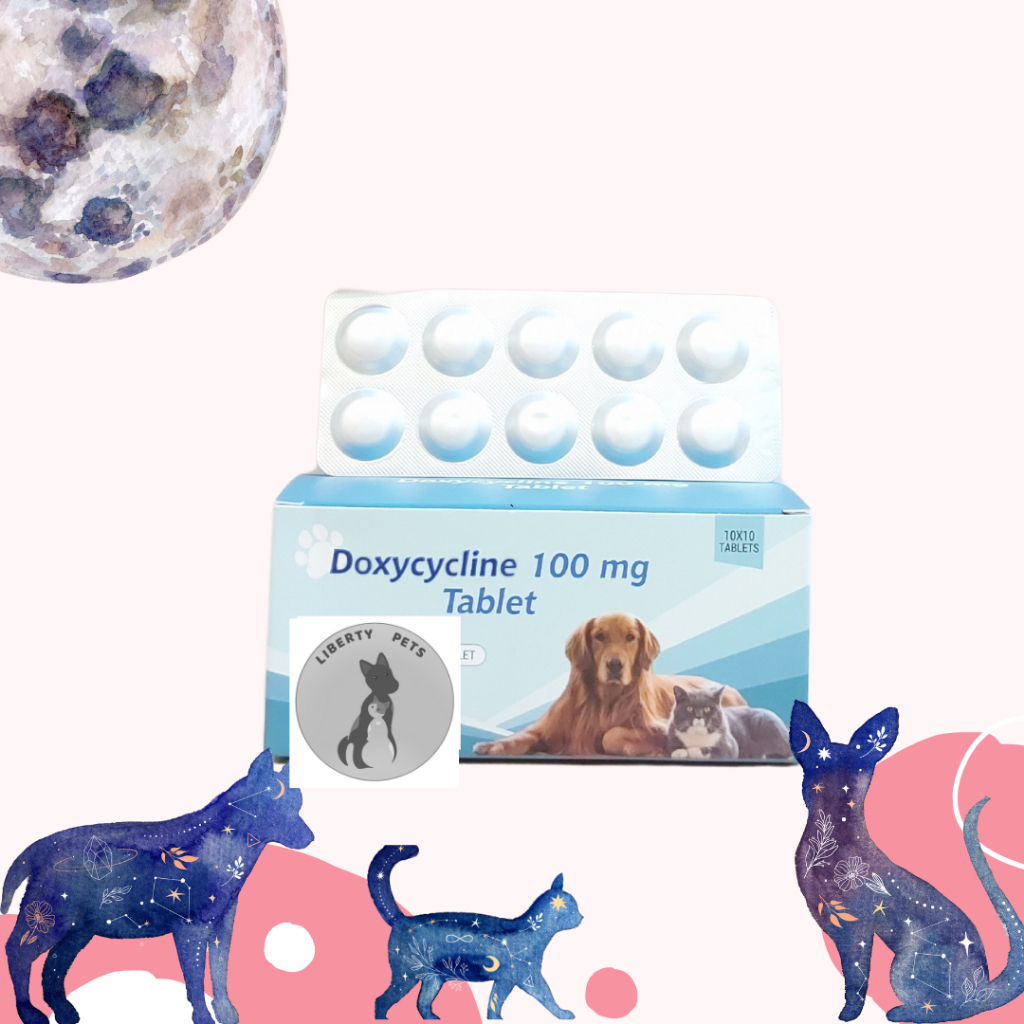 Jual Doxycyline Doxy Cycline 100mg Obat Untuk Kucing Anjing (1 Strip ...
