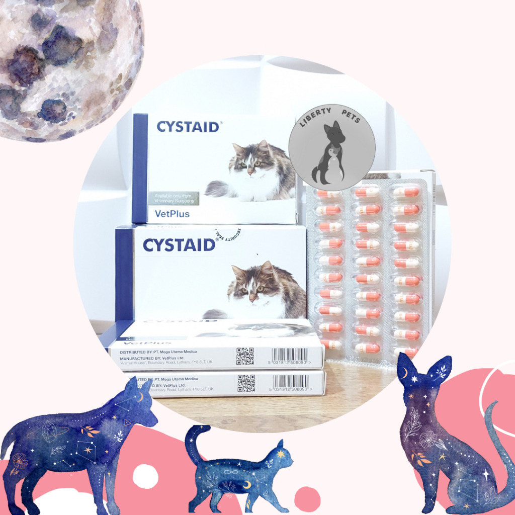 Jual Cystaid Cat Plus Urinary Tract Obat Gangguan Saluran Kencing ...