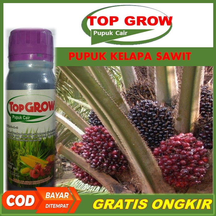 Jual TOP GROW Pelebat Kelapa Sawit Terbaik Tahan di Musim Hujan - Pupuk NPK Cair Pelebat Kelapa ...