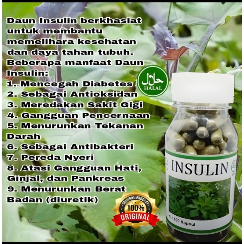Jual INSULIN/KAPSUL INSULIN. isi 100 kapsul | Shopee Indonesia