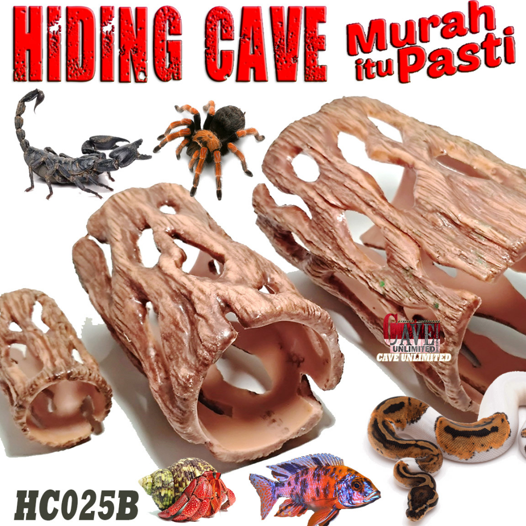 Jual HC025B HIDINGCAVE CHOLA KAKTUS GOA TEMPAT SEMBUNYI REPTILE INSECTA ...