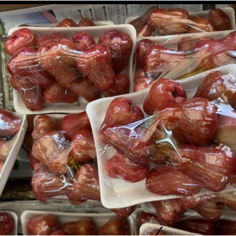 Jual Jambu Air Merah Citra Manis Fresh 1 Kg | Shopee Indonesia