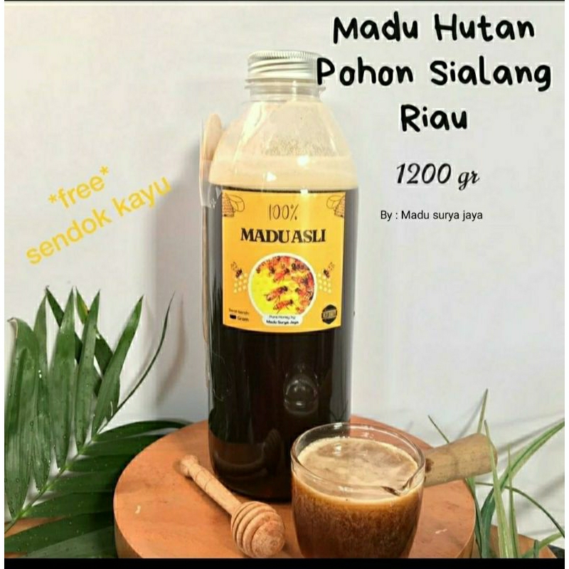 Jual MADU HUTAN ALAMI POHON SIALANG / RIAU ASLI 100% 1000 gr | Shopee ...