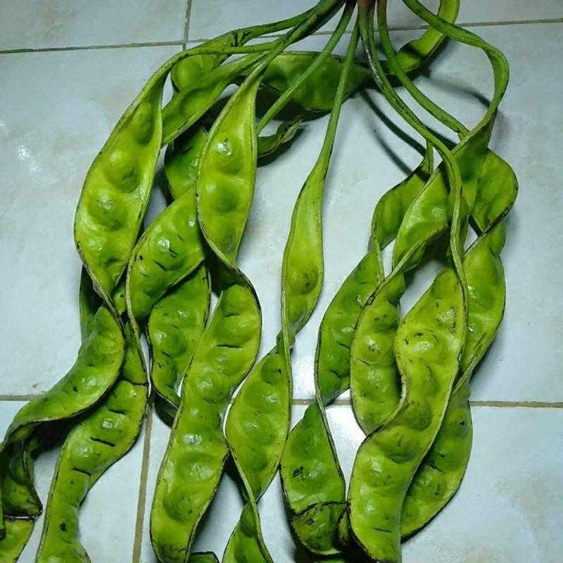 Jual Sayur Pete Petai Mlading per ikat isi 10 papan | Shopee Indonesia