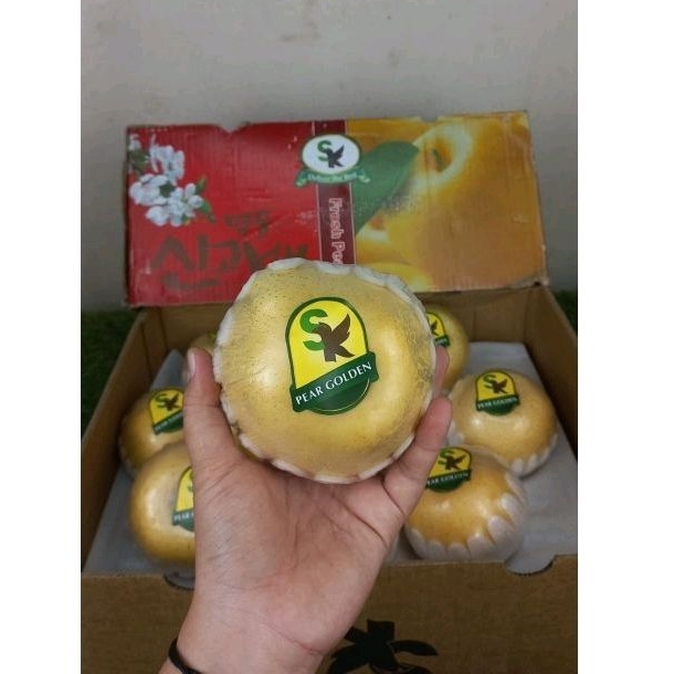 Jual pir golden import /2 buah | Shopee Indonesia