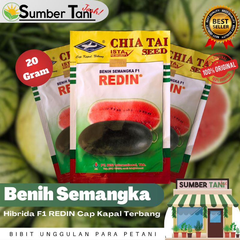 Jual Benih Semangka Hibrida F1 REDIN Cap Kapal Terbang 20gram | Shopee ...