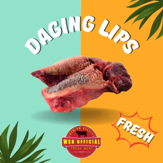 Jual Kepala Sapi Terlengkap & Harga Terbaru Juli 2024 | Shopee Indonesia