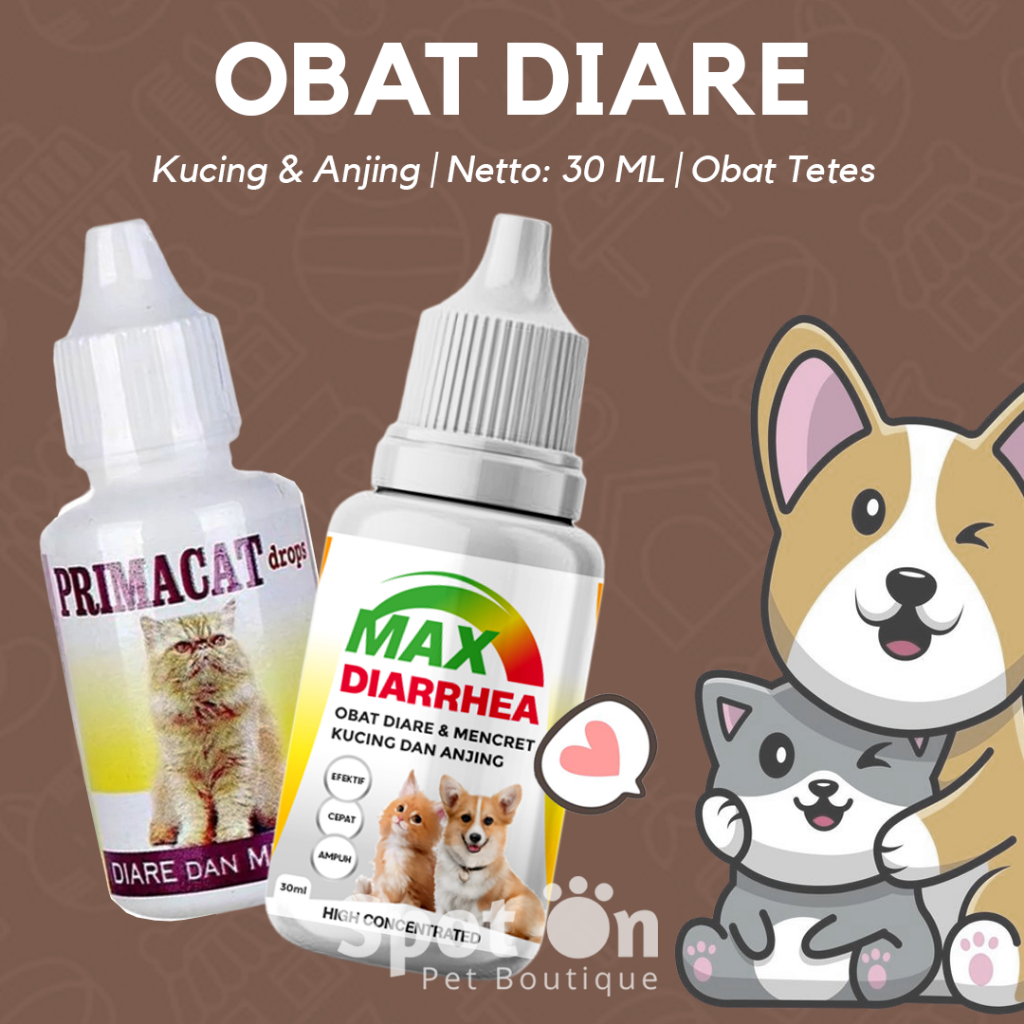 Jual Obat Diare & Mencret Kucing & Anjing Max Diarrhea Primacat | Obat ...