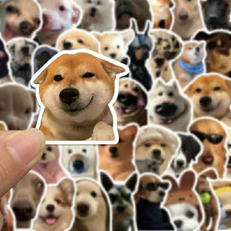 Jual Stiker anjing meme lucu 30pc Funny Dog Sticker | Shopee Indonesia