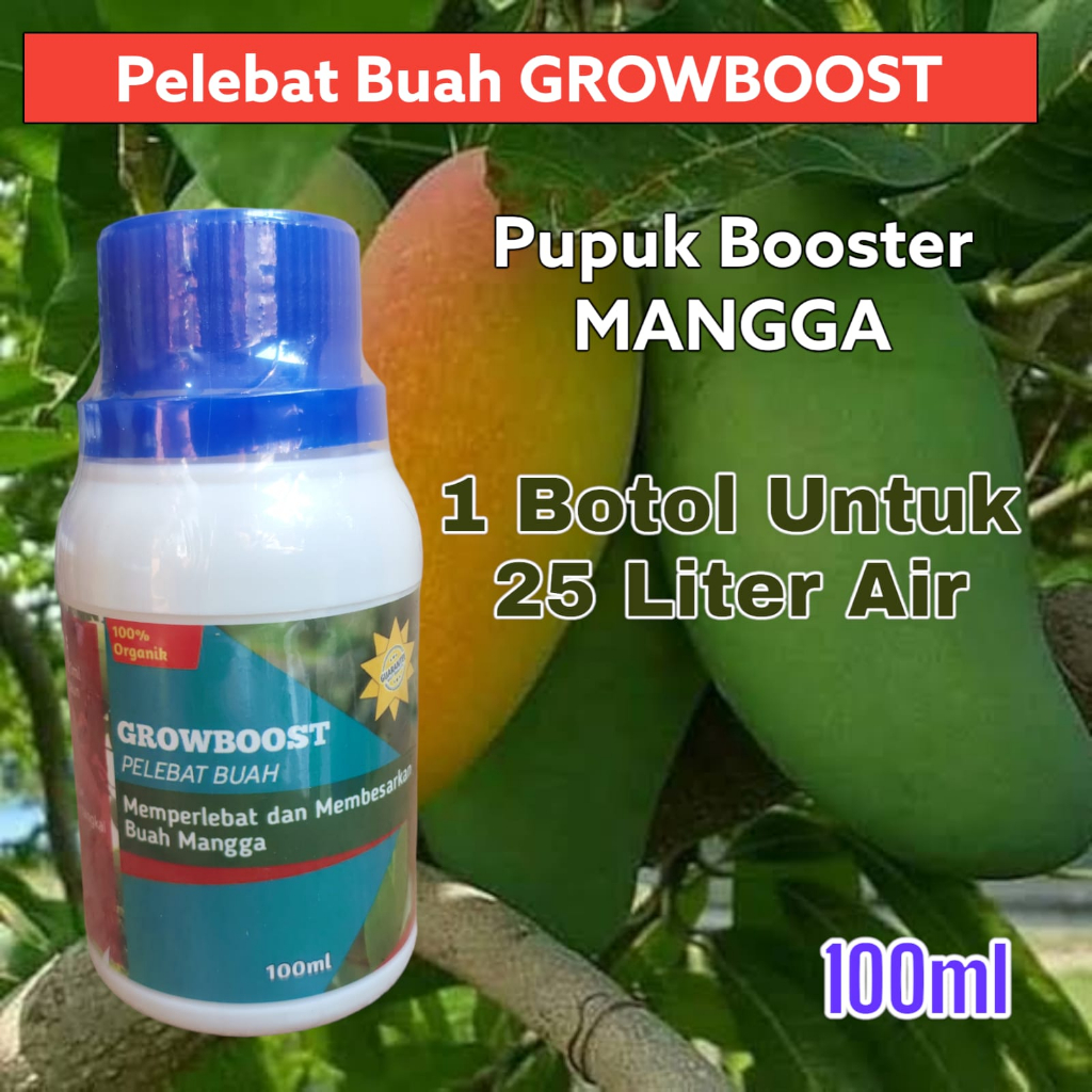 Jual Pupuk Buah Mangga Premium Organik GrowBoost Buah Mangga 100ml | Shopee Indonesia