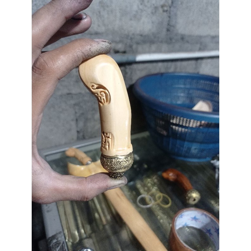 Jual deder cendana jawa mendak selut krawangan | Shopee Indonesia