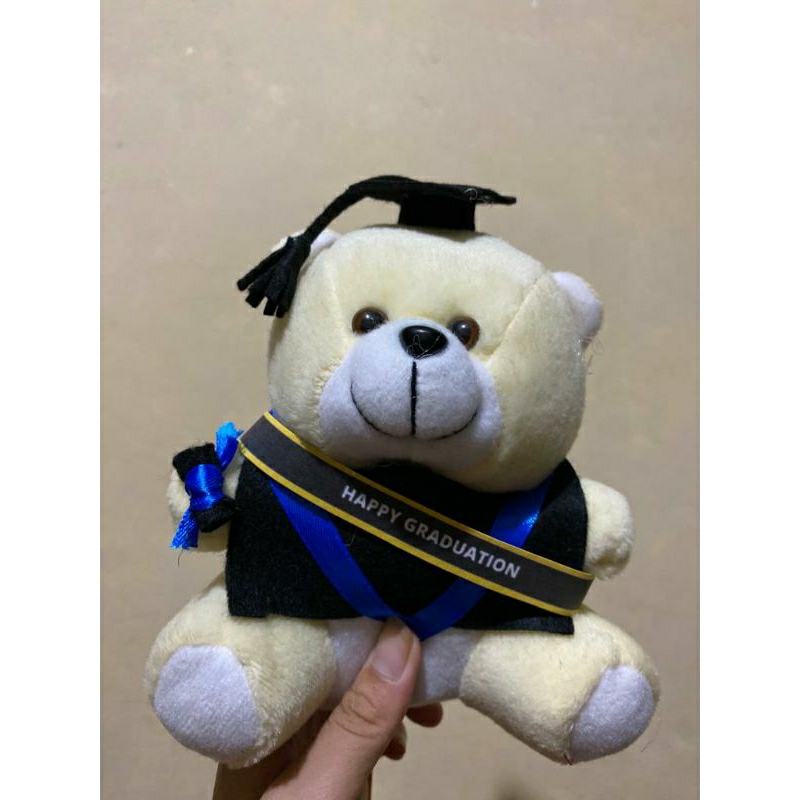 Jual Realpict boneka wisuda bear mini ukuran 15 cm boneka wisuda mini ...