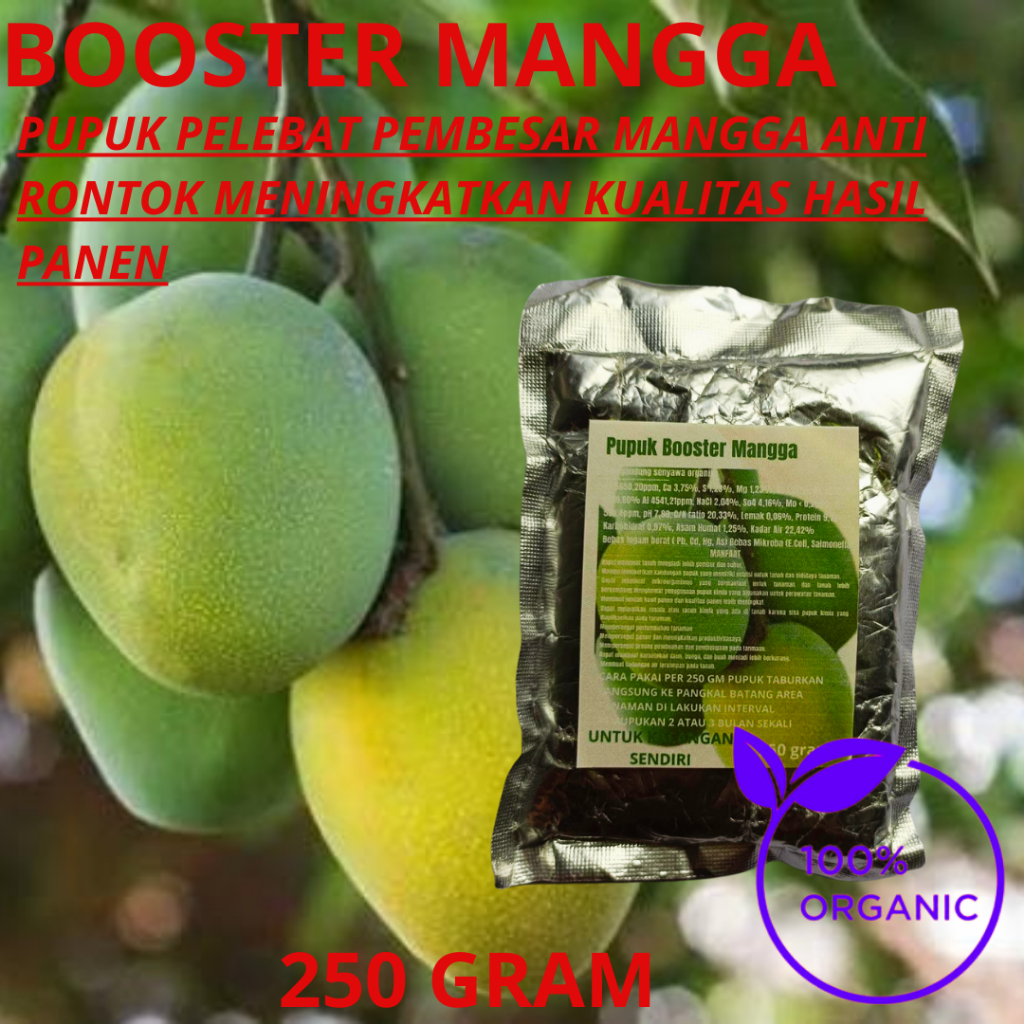 Jual Pupuk Booster Pelebat Mangga Organik/Perangsang dan Booster Mangga Serbuk Padat Agar Cepat ...