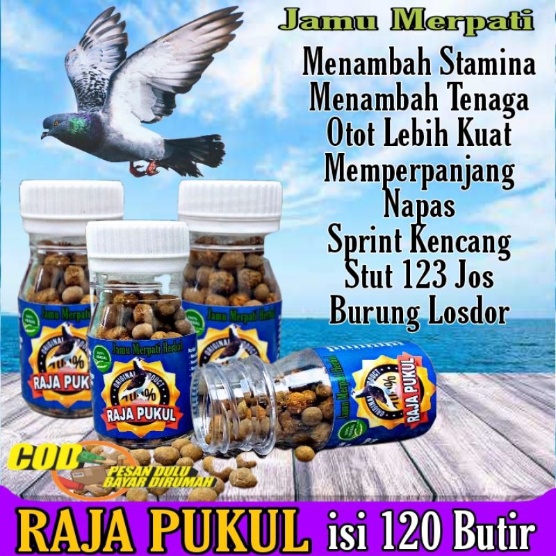 Jual PIL RAJA PUKUL 120 Butir jamu Merpati Tinggi pukul jamu merpati ...