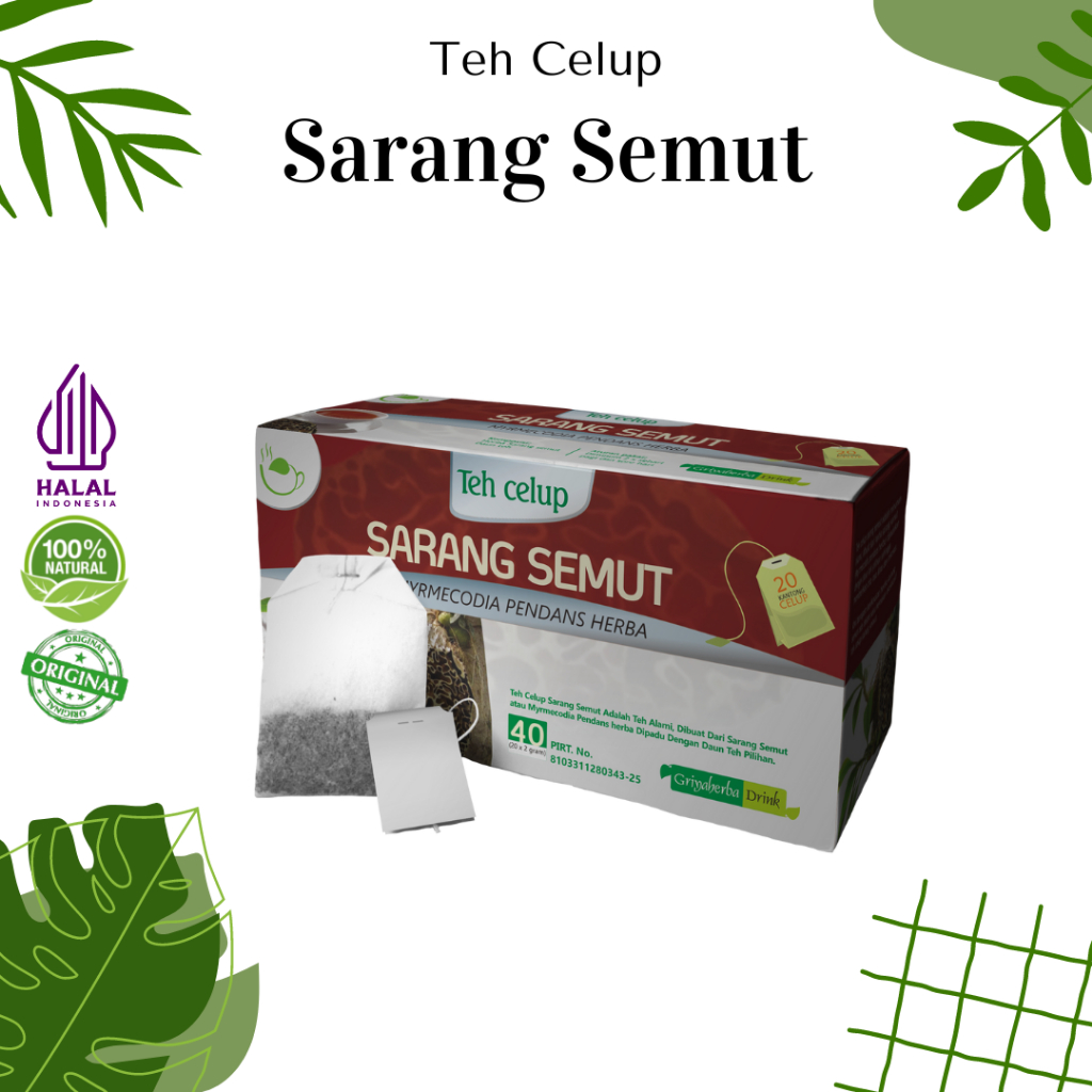 Jual Teh Herbal GRIYAHERBA Sarang Semut Teh Celup meredakan Rematik dan ...