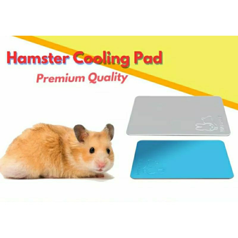 Jual hamster cooling pad | Shopee Indonesia