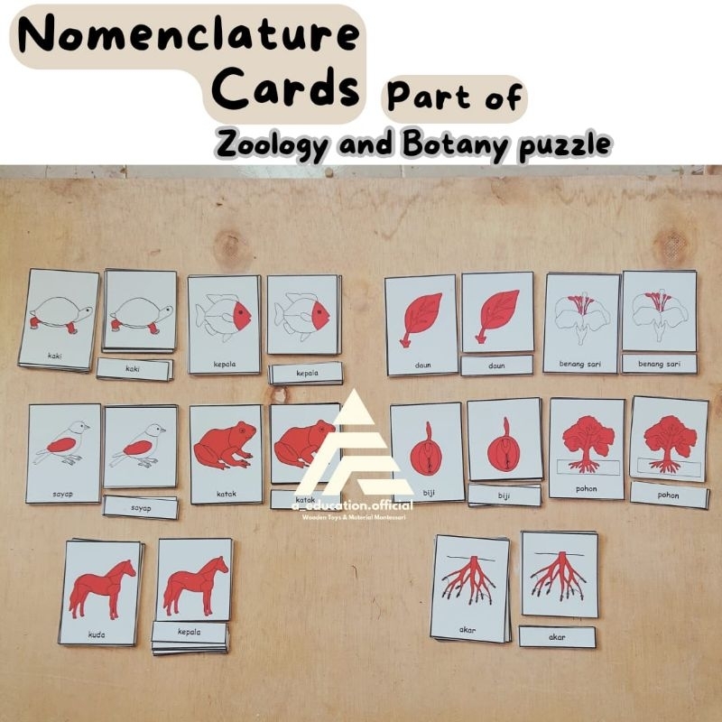 Jual Nomenclature card zoology botany puzzle 3 part card montessori ...