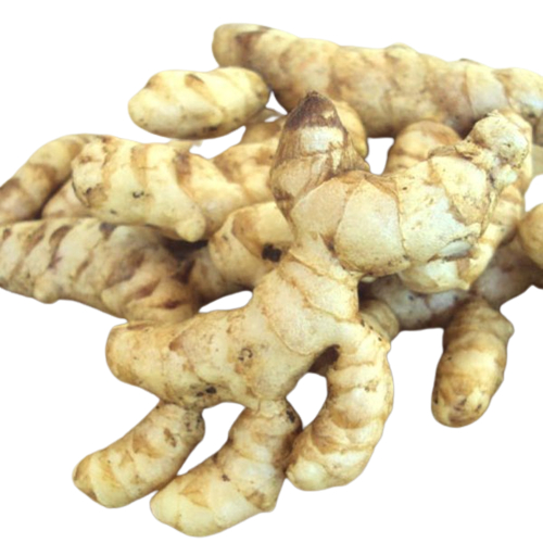 Jual 1 KG TEMU PUTIH 100% ORGANIK DARI HUTAN CURCUMA ZEDOARIA SEGAR ...