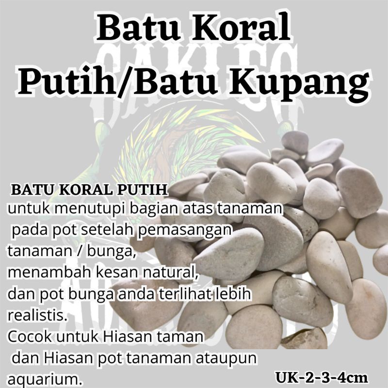 Jual BATU KORAL/BATU KUPANG-1000GR/BATU HIAS/BATU AQUARIUM/BATU TAMAN ...