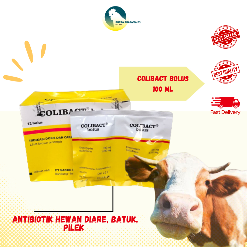 Jual [1 BOX] COLIBACT BOLUS SANBE 1 BOX BERISI 12 BOLUS | Shopee Indonesia