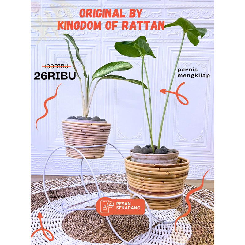 Jual cover pot aesthetic/ cover pot rotan high quality/ pot rotan ...