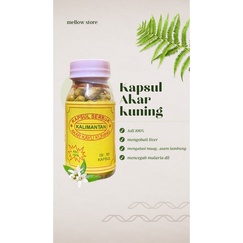 Jual serbuk kapsul akar kayu kuning khas kalimantan asli 100% | Shopee ...