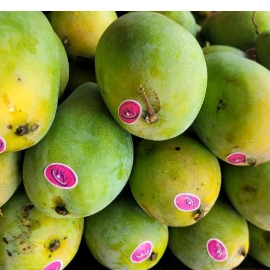 Jual Mangga Arummanis Premium Grade Super 500gr | Shopee Indonesia