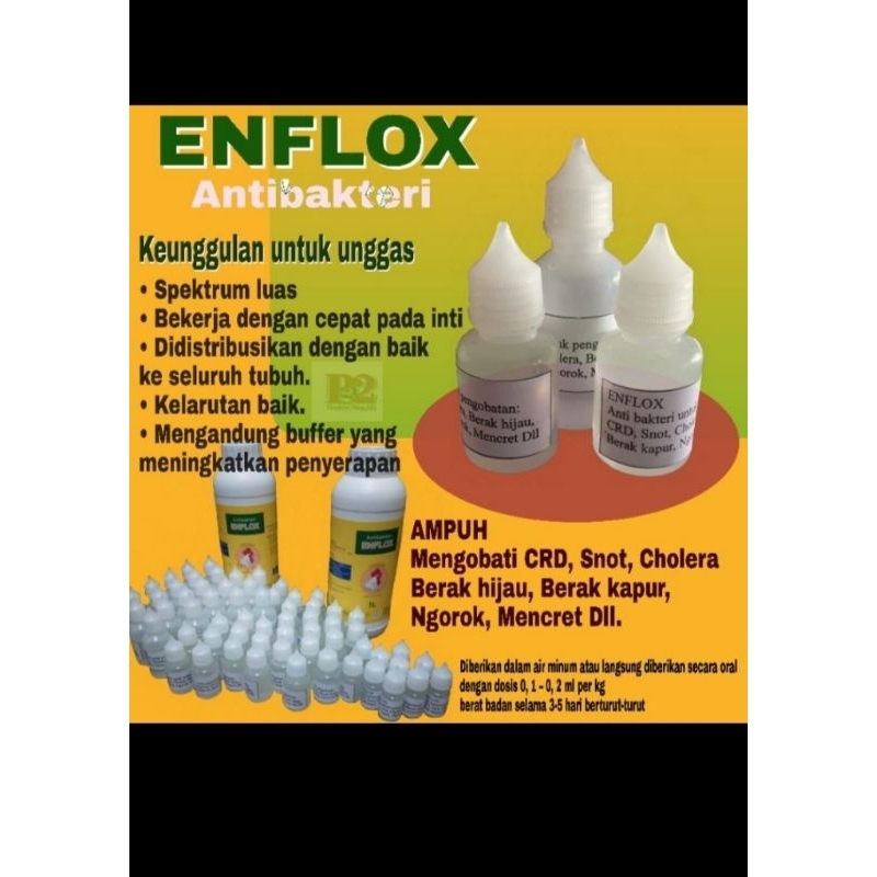 Jual ENFLOX TETES obat ayam, snot crd, ngorok, anti bakteri unggas pada ...