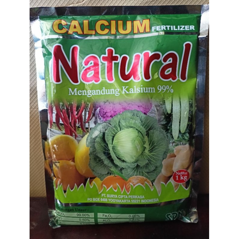Jual CALSIUM natural 1kg | Shopee Indonesia