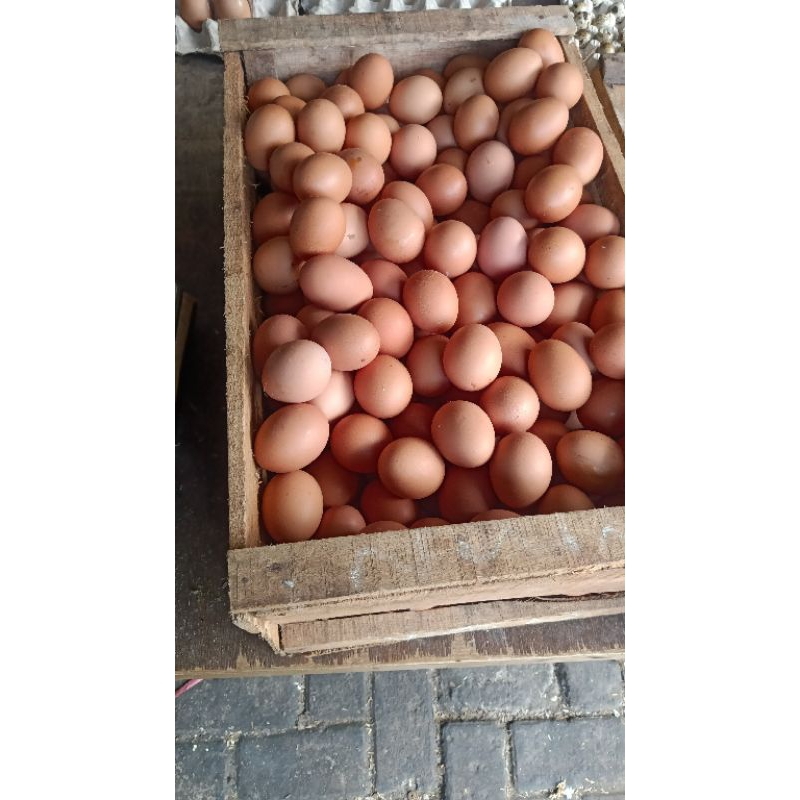 Jual TELUR AYAM NEGERI CURAH FRESH | Shopee Indonesia