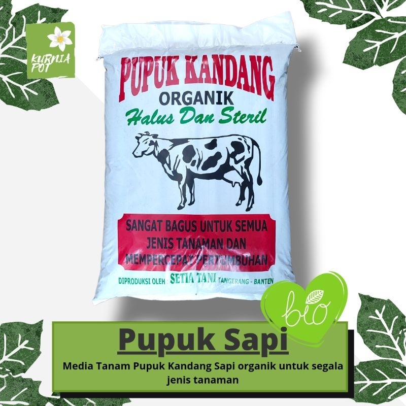 Jual Pupuk Kandang Sapi Halus Media Tanam Organik Tanaman Hias Bunga ...