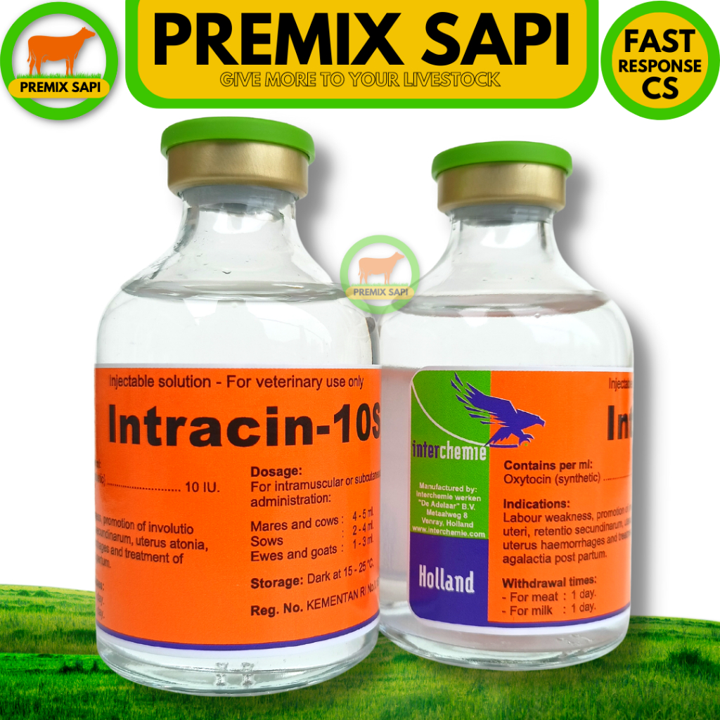 Jual INTRACIN 10S 50ml Original Interchemie | Shopee Indonesia