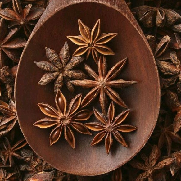 Jual Pekak / Bunga Lawang 100g / Whole Star Anise / Bumbu Rempah ...