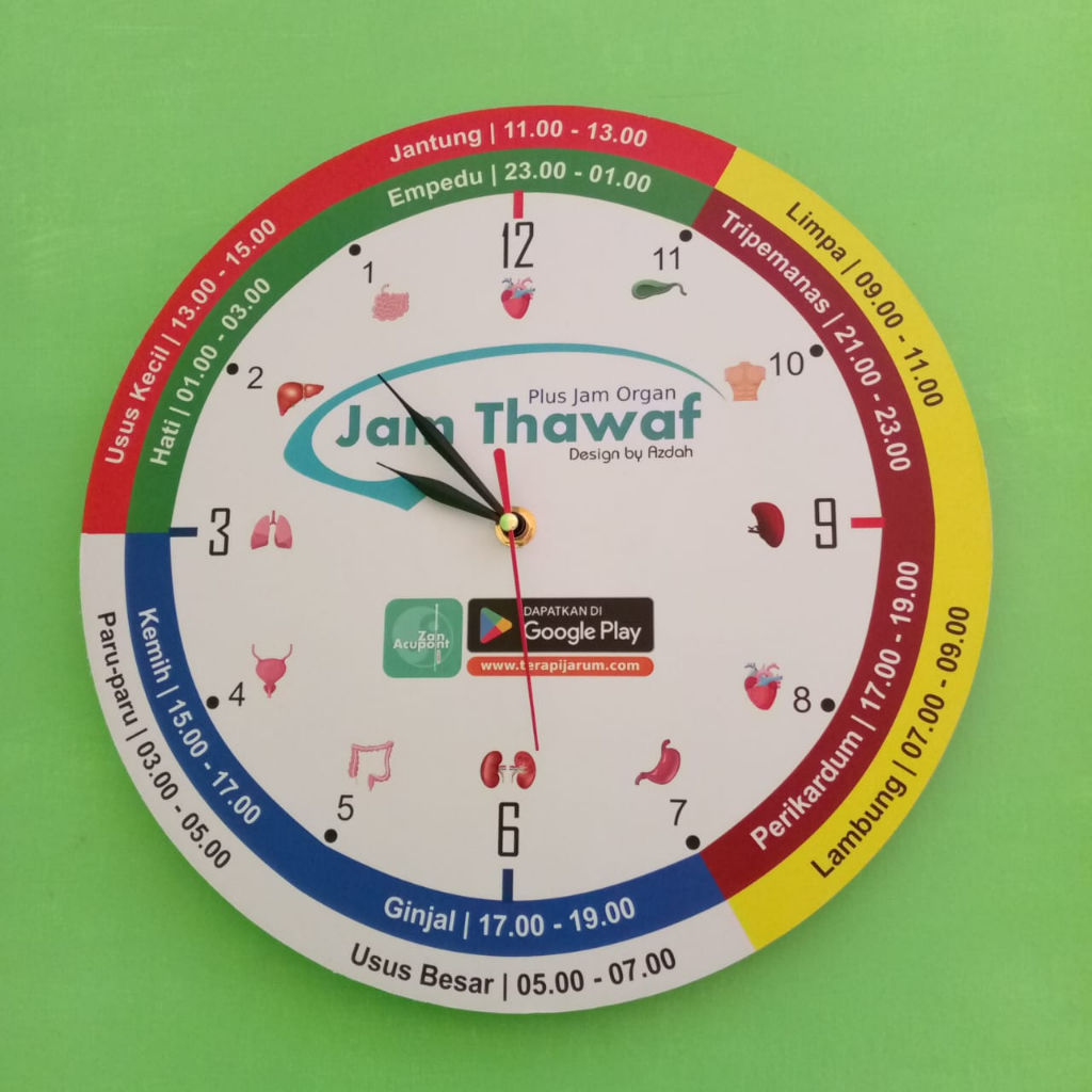 Jam Organ Tubuh Manusia dalam Teori Akupunktur - Terapi Jarum