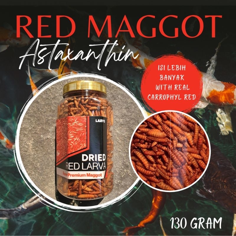 Jual SUPER RED MAGGOT Maggot Kering with Real Carrophyl Red 130gr ...