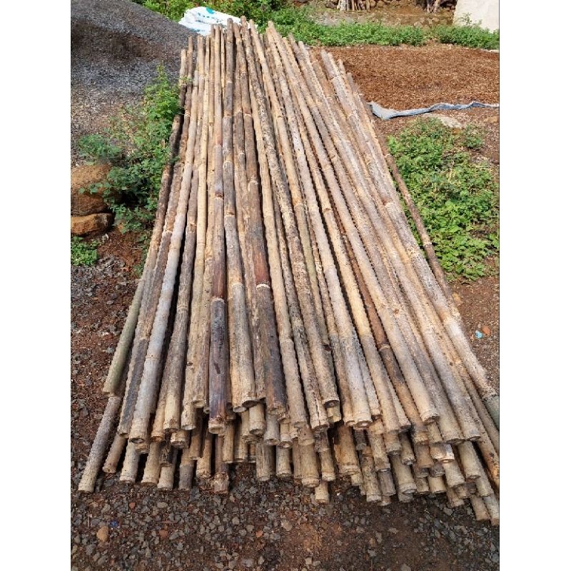 Jual Bambu Tiang Bendera Umbul Umbul Baleho Spanduk Sudah Di Cat ...