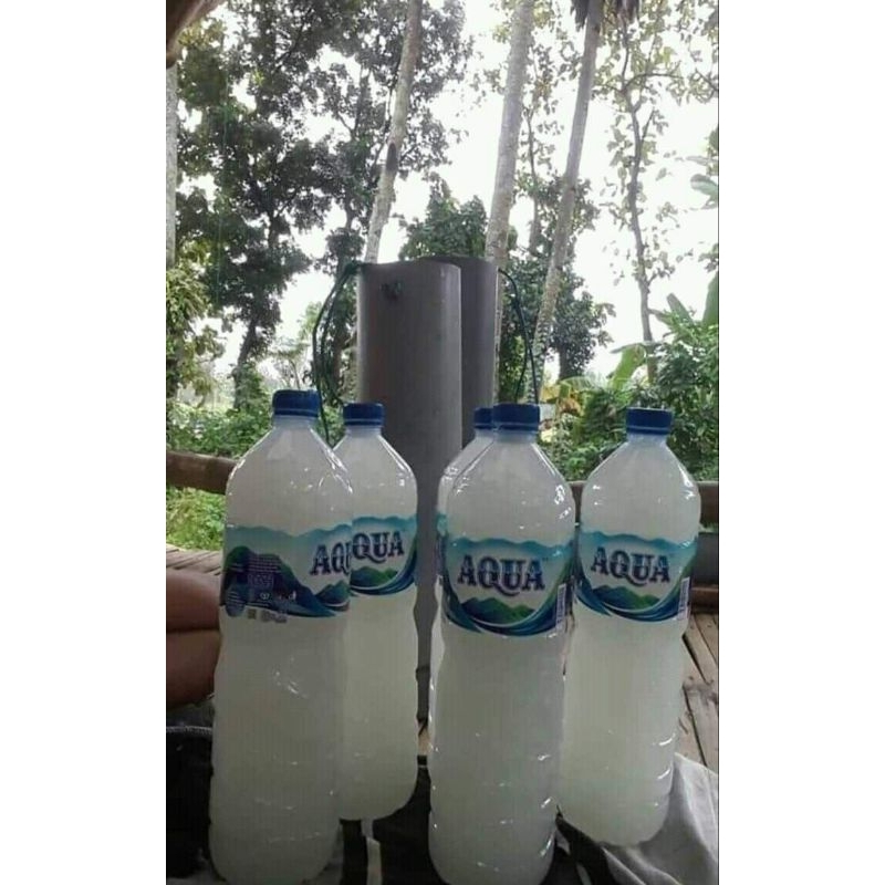 Jual Legen Tuban, minuman khas Tuban 1.500 ml | Shopee Indonesia