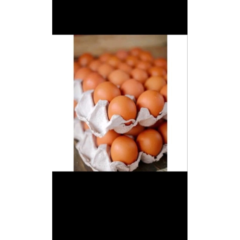 Jual paket telur ayam negri 30 butir /1 tray | Shopee Indonesia