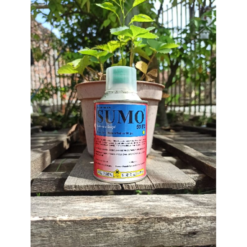 Jual Insektisida Sumo 50 EC 250ml Mengendalikan Hama Kutu Lalat Buah ...