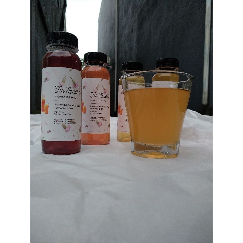 Jual kombucha/250 ml/botol plastik | Shopee Indonesia