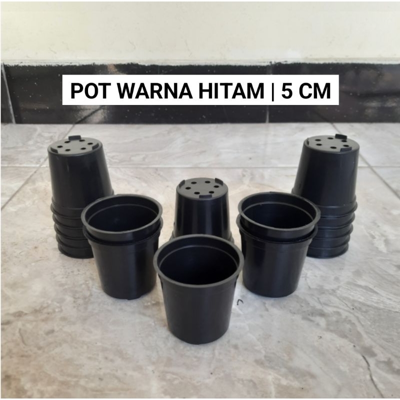 Jual Pot Bunga Kecil Hitam | 5 cm | Shopee Indonesia