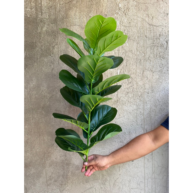 Jual TANAMAN ARTIFICIAL KETAPANG 23DAUN 70CM(belum termasuk pot ...