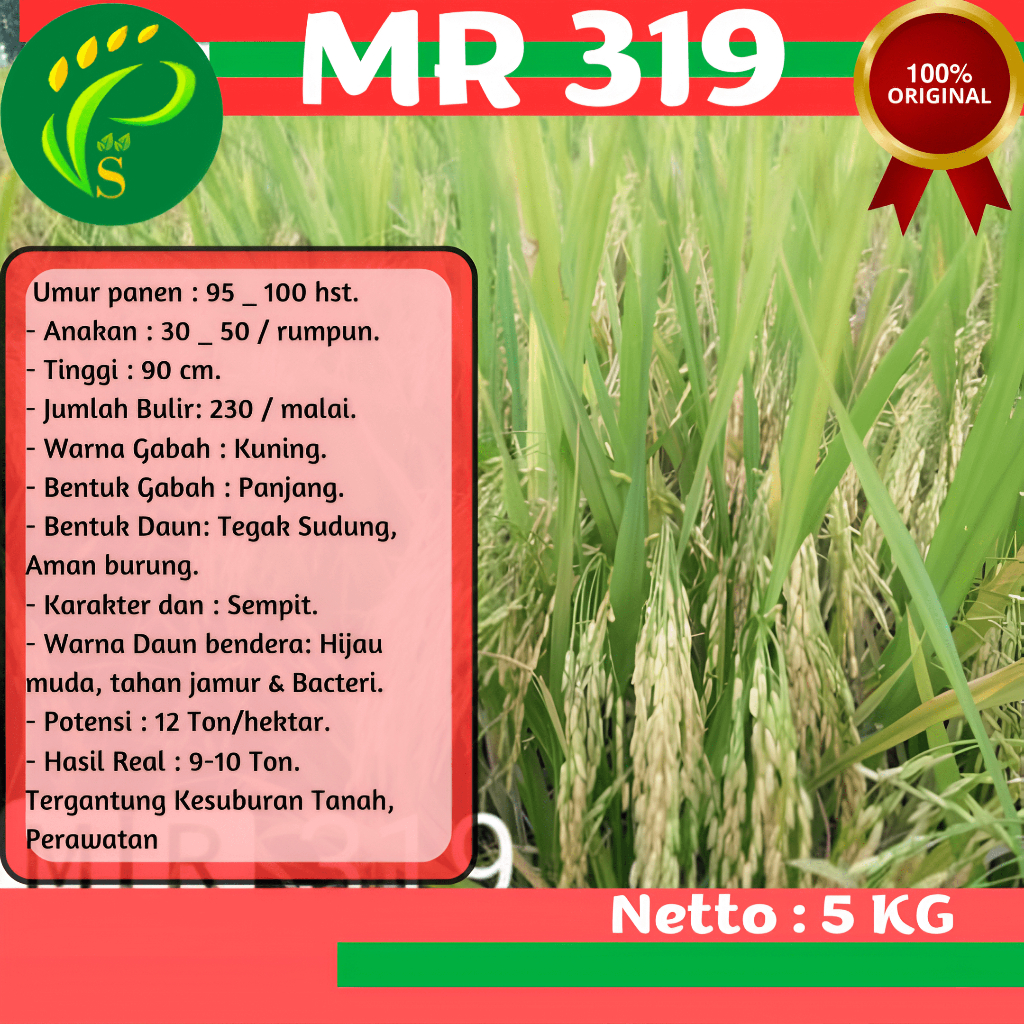 Jual Biji Padi Unggul MR 319 5KG | Shopee Indonesia