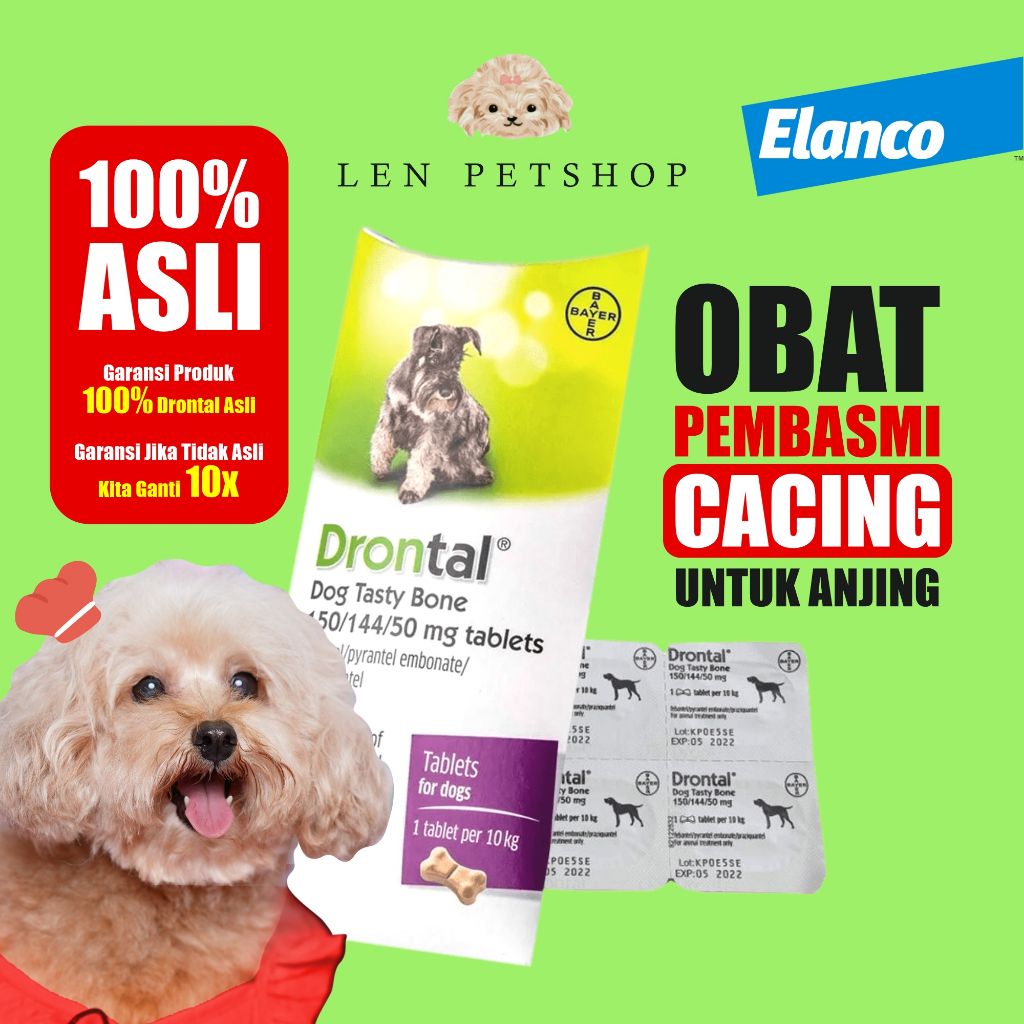 Jual Drontal Dog Obat Cacing Anjing | Shopee Indonesia